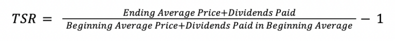 TSR Calculation: Accumulated Dividends - Infinite Equity