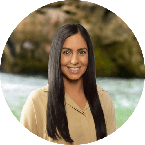 Meet the Team